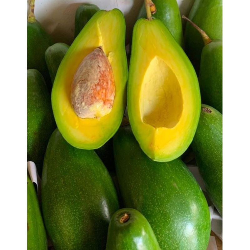 Jual ALPUKAT MENTEGA PREMIUM JUMBO 1KG ISI 1-2 FULL TUA PILIHAN ...