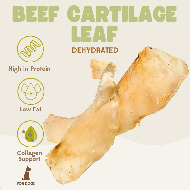 Jual 3-5pc BEEF CARTILAGE Dog Hard Chew /Natural Air Dried Treats ...