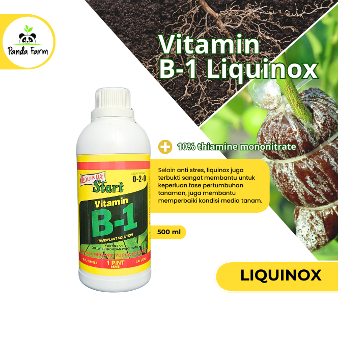 Jual Vitamin B1 Liquinox Utk pertumbuhan Akar dan anti stres - 500ml | Shopee Indonesia