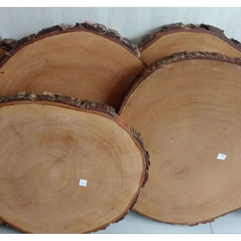 Jual tatakan kayu halus woodslice 25 cm ( PO) | Shopee Indonesia