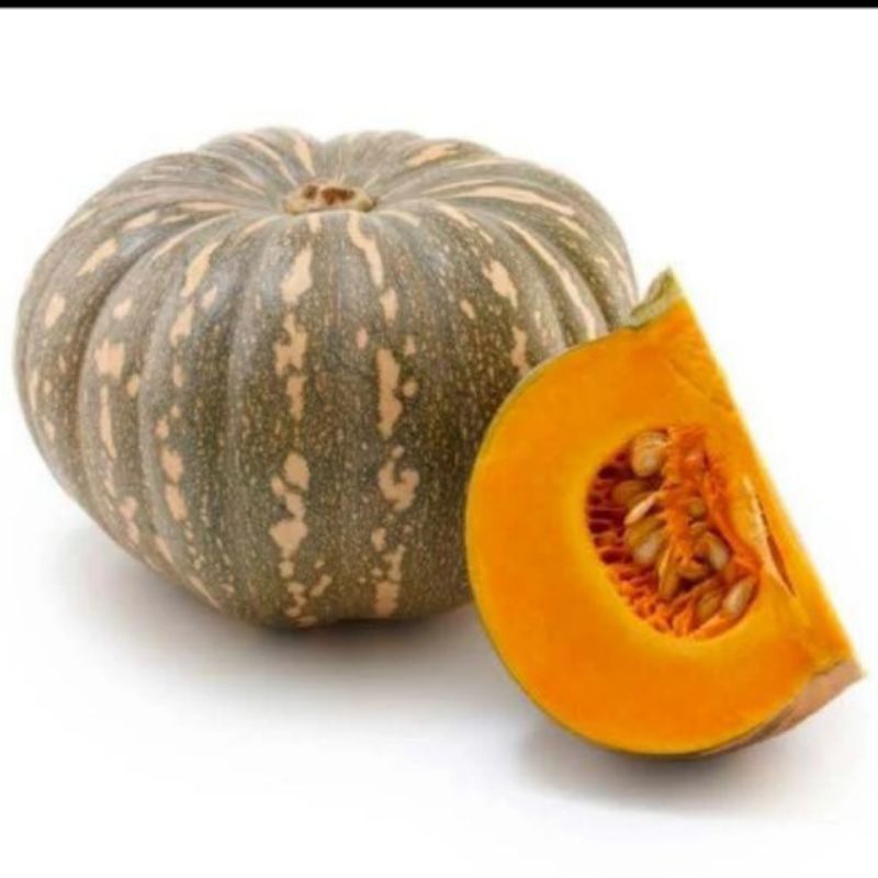 Jual Bibit benih labu kuning labu super 30biji | Shopee Indonesia