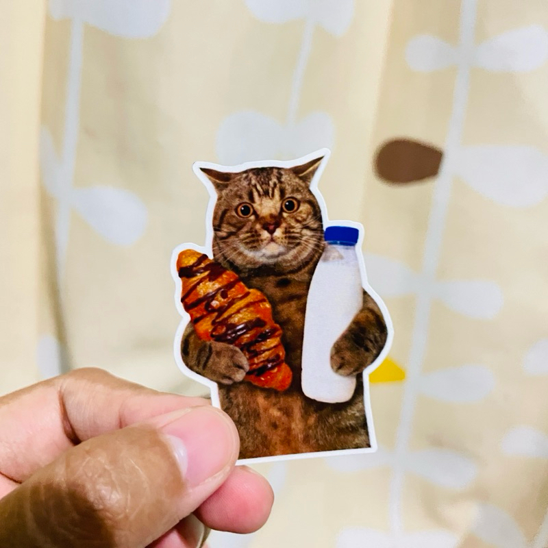 Jual Stiker KUCING | Stiker Lucu | Stiker Meme | Stiker Helm | Stiker ...