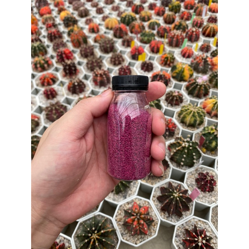 Jual Insectisida Starkle G Repack kemasan 100gr | Shopee Indonesia