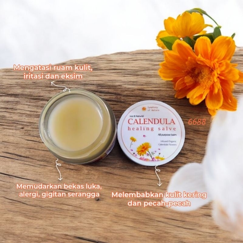 Jual SALEP EKSIM GATAL ALERGI IRITASI BEKAS LUKA CALENDULA HEALING ...