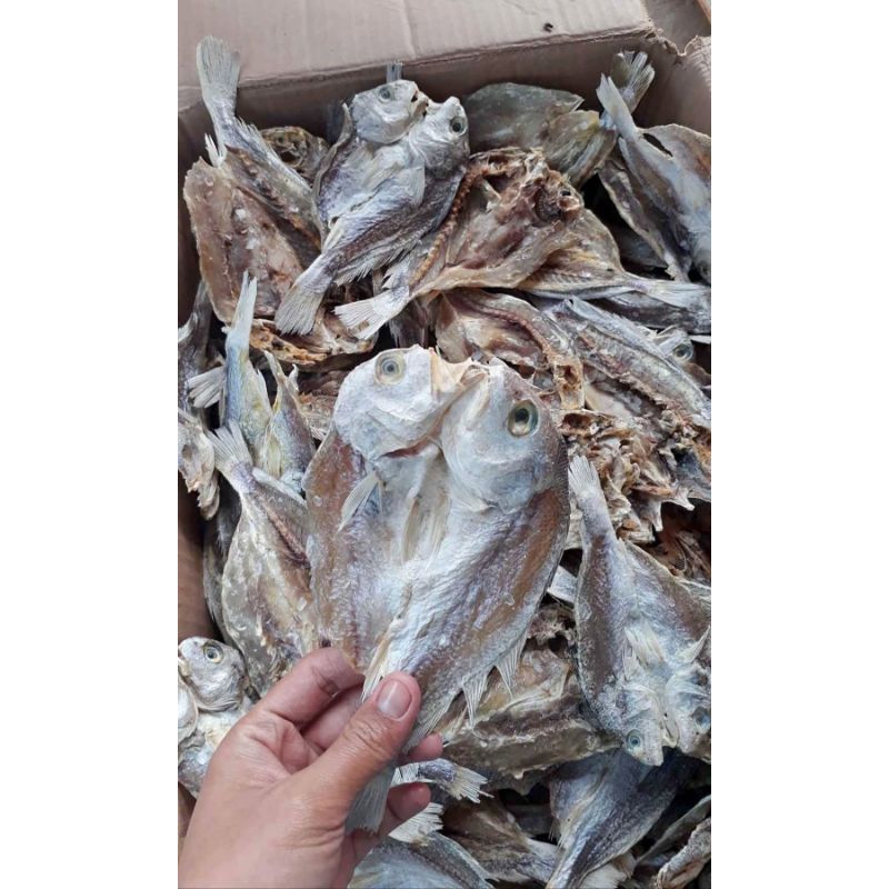 Jual IKAN ASIN GULAMA BELAH KHAS TARAKAN KALTARA | Shopee Indonesia