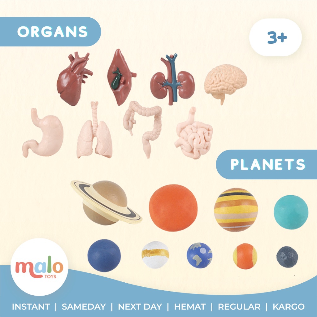 Jual Promo Spesial 3 Figurine Human Organ Solar Planet Body Parts ...