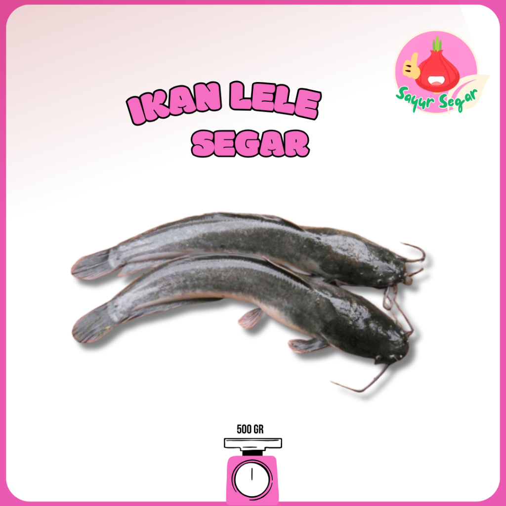 Jual Sayur Segar - Ikan Lele Super Segar/CatFish 500gr | Shopee Indonesia