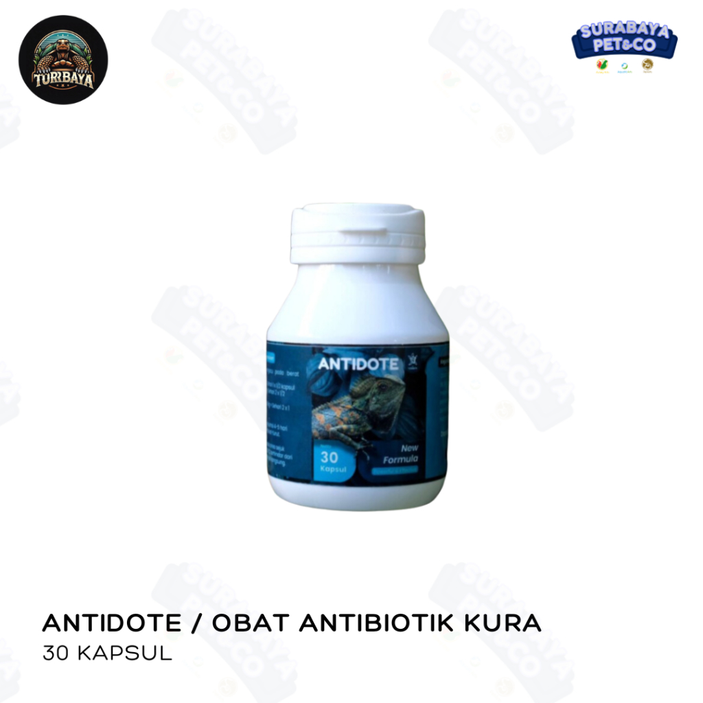 Jual CLEARANCE SALE 03 2026 Antidote Obat Antibiotik Kura Obat ...