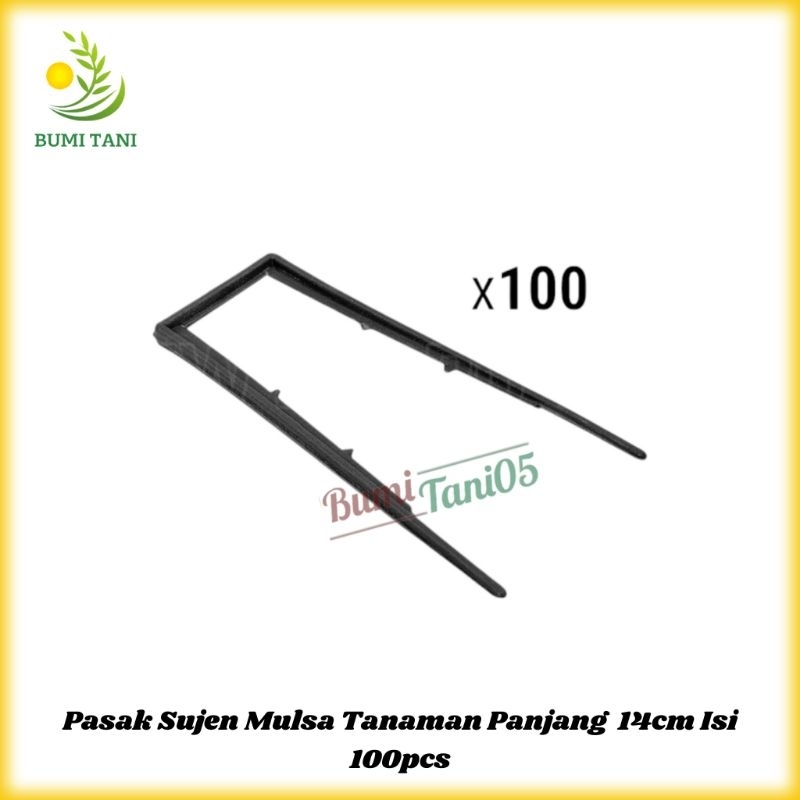 Jual Pasak Sujen Penjepit Plastik Mulsa Isi 100pcs Ukuran 5x14 cm ...