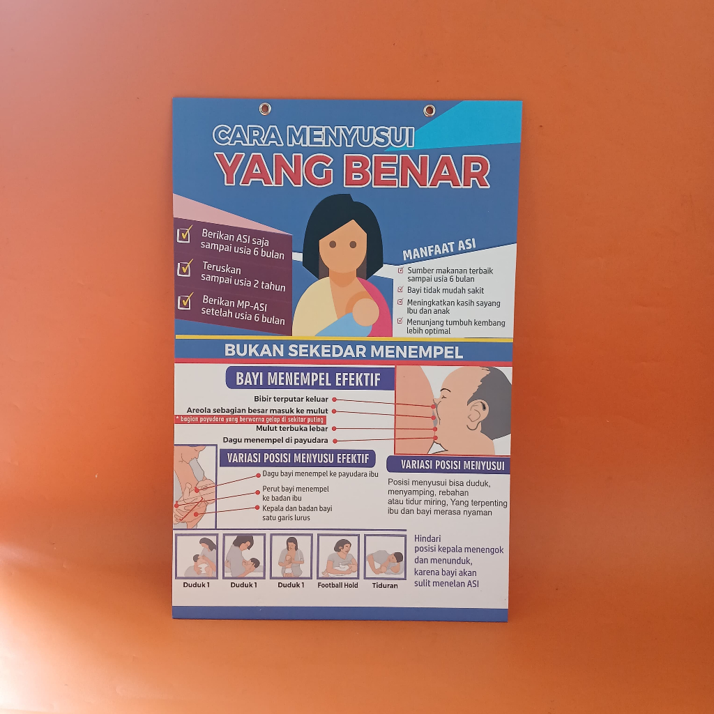 Jual Hard Poster A3 Cara Menyusui Yang Benar - Poster Gantung Ibu ...