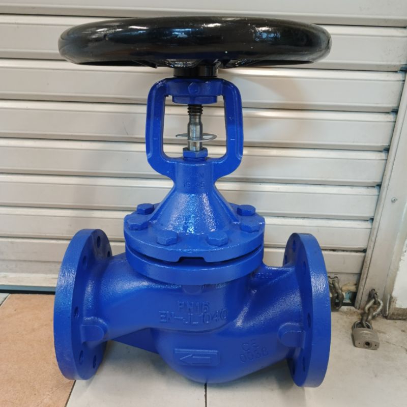 Jual Globe Valve SPIRAX SARCO 1" Inch Flange PN16 Cast Iron DN25 | Shopee Indonesia