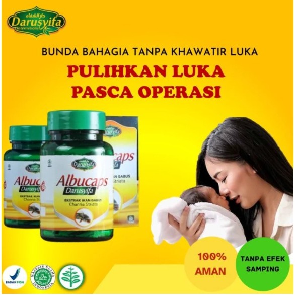 Jual Obat operasi sesar dan luka Kapsul Kutuk Ikan Gabus Albucaps Darusyifa Ekstrak Albumin ...
