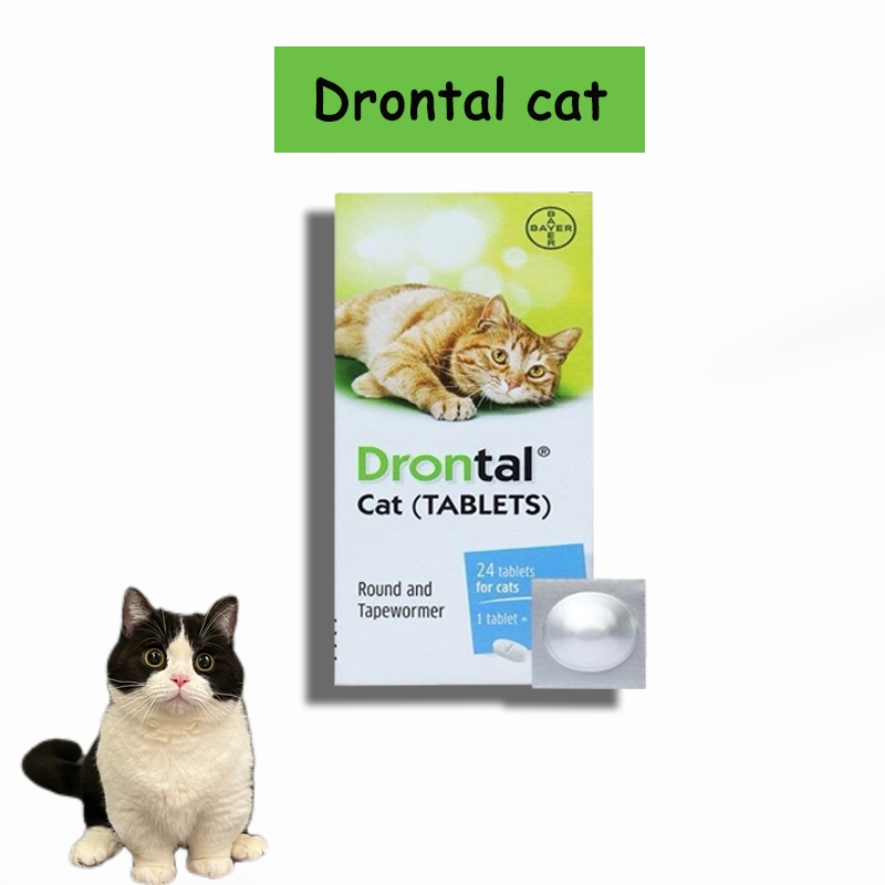 Jual Drontal Cat Dewormer Cat Anthelmintic Tablet For Roundworm ...