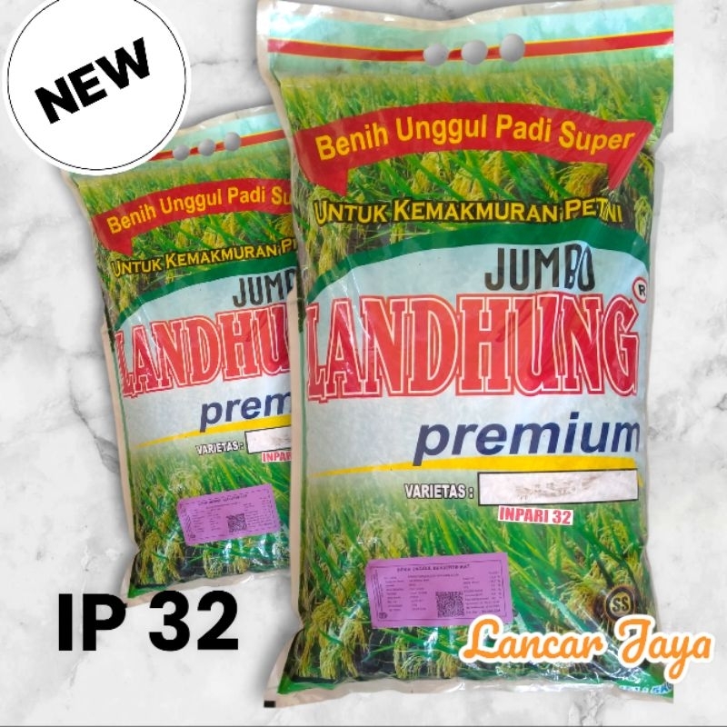 Jual Benih Padi Inpari 32 kualitas terbaik premium jumbo ukuran 5kg | Shopee Indonesia