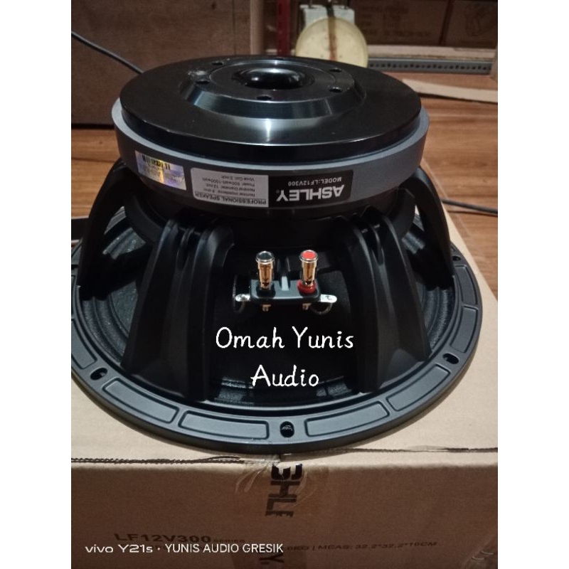 Jual SPIKER ASHLEY LF-12V300 12inchi | Shopee Indonesia