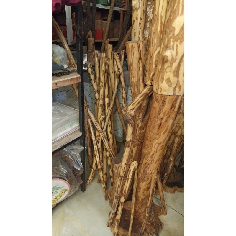 Jual pohon kayu kopi plitur | Shopee Indonesia