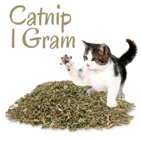 Jual Catnip Bubuk Sachet untuk Kucing 1 Gram | Shopee Indonesia