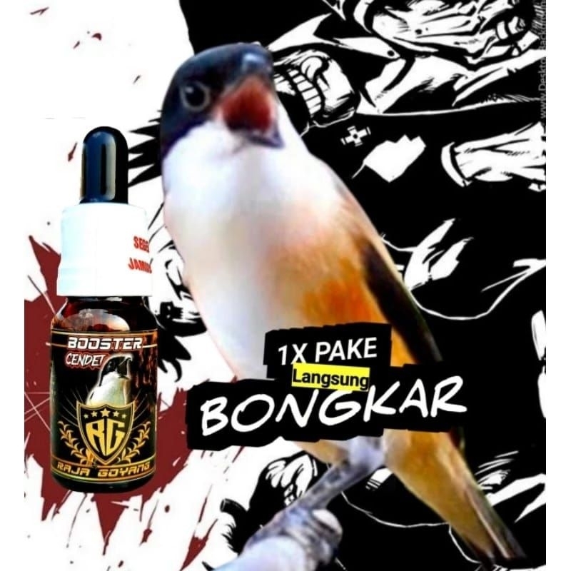 Jual Booster Cendet Vitamin Penggacor Burung Cendet RG Booster Cendet ...