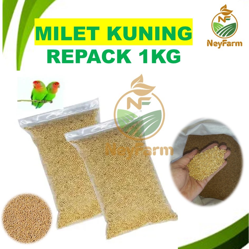 Jual YELLOW MILET Milet Kuning 1KG Pakan Burung Love Bird Kenari ...