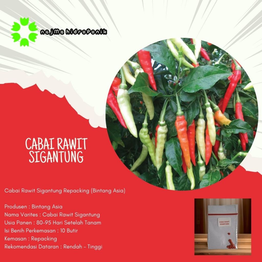 Jual 10 Butir Cabai Rawit Sigantung Repacking (Bintang Asia) | Shopee ...