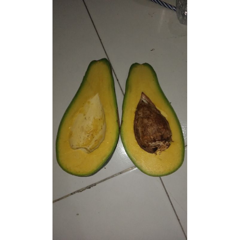 Jual alpukat mentega super | Shopee Indonesia