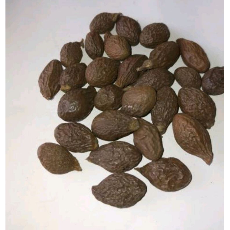 Jual Buah Tempayang /Biji Kembang Semangkuk ,1 kg | Shopee Indonesia