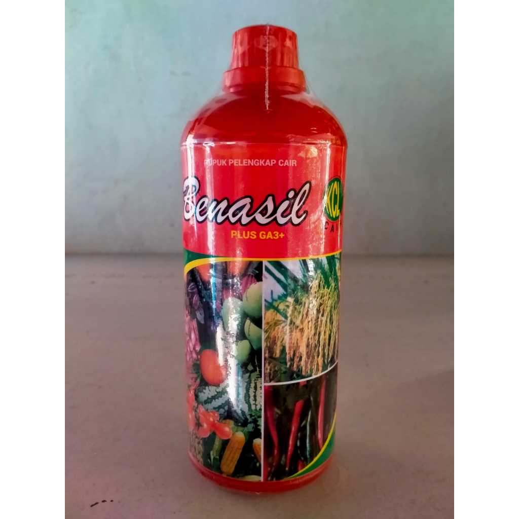 Jual Pupuk Pelengkap Cair BENASIL KCL Cair Plus GA3+ 1 Liter | Shopee ...
