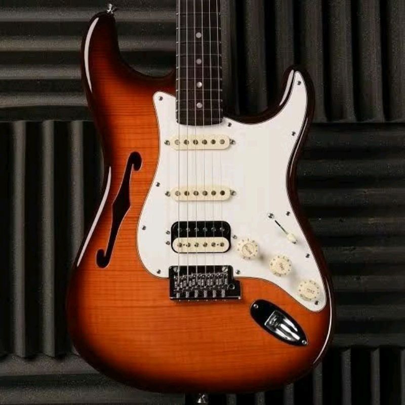 Jual Body Gitar Stratocaster thinline | Shopee Indonesia