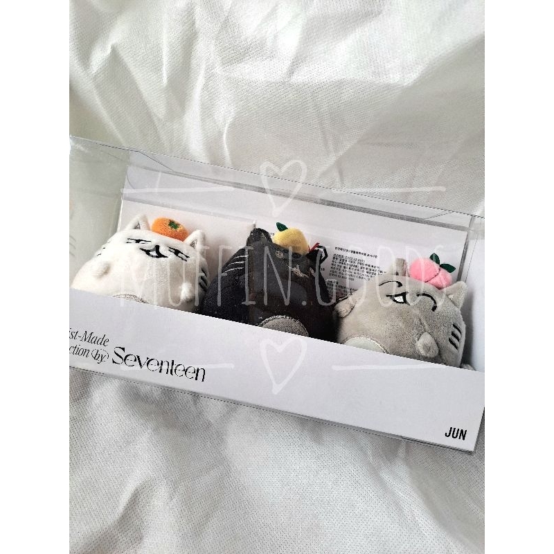 Jual [read desc] Ready Stock Sharing OCL JUN Seventeen Artist Made ...