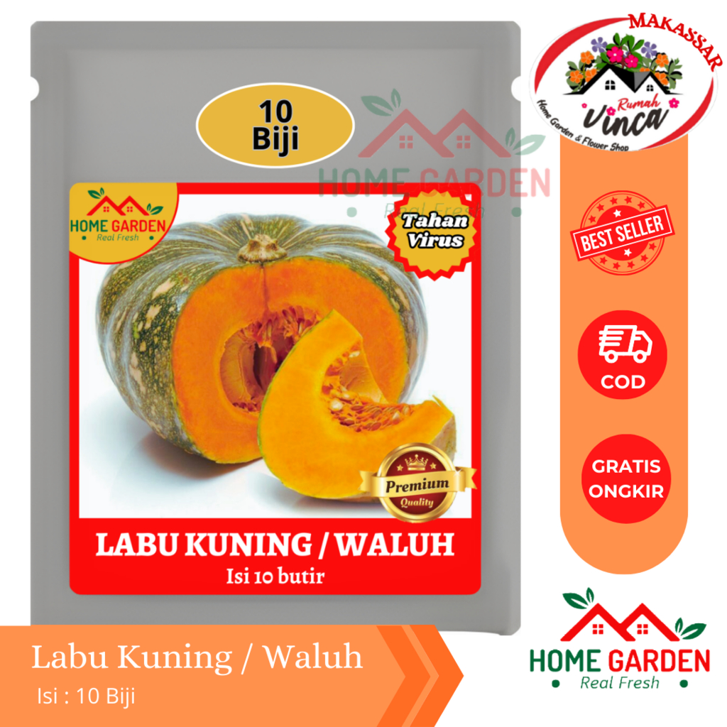 Jual Benih Biji Bibit Labu Kuning Super isi 10 Biji Waluh Kuning Super ...