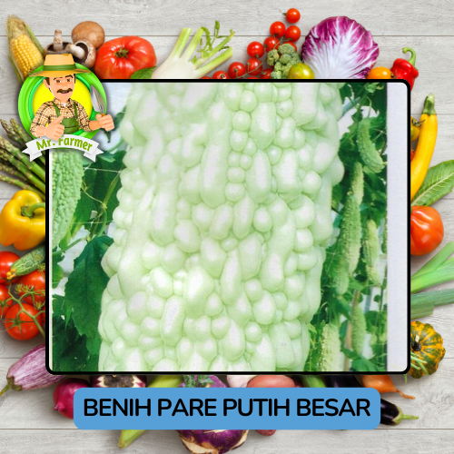 Jual Jenis Benih Sayuran Pare Bibit Sayuran | Shopee Indonesia