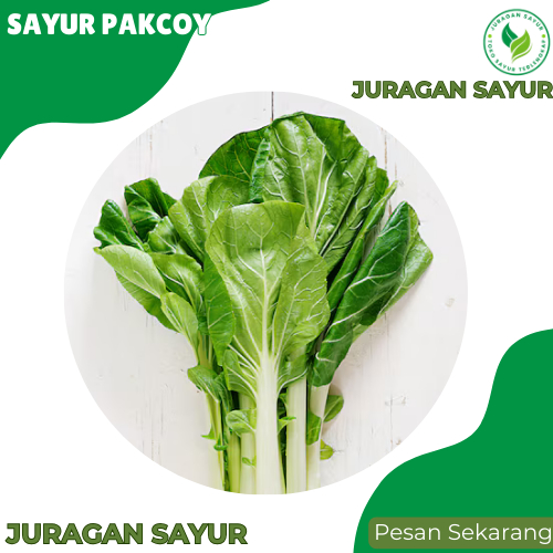 Jual Pakcoy / Bokcoy 500gr - Pakcoy Sayur PREMIUM dan Fresh - Juragan ...