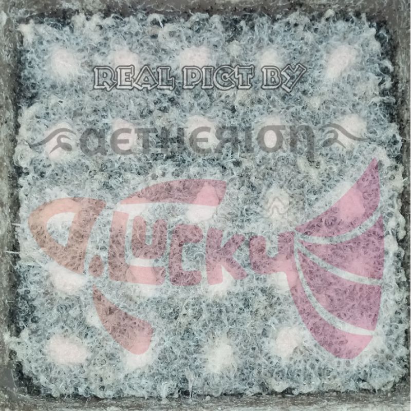 Jual Grindal worms, cacing grindal, cacing putih, cacing pipih, pakan ...