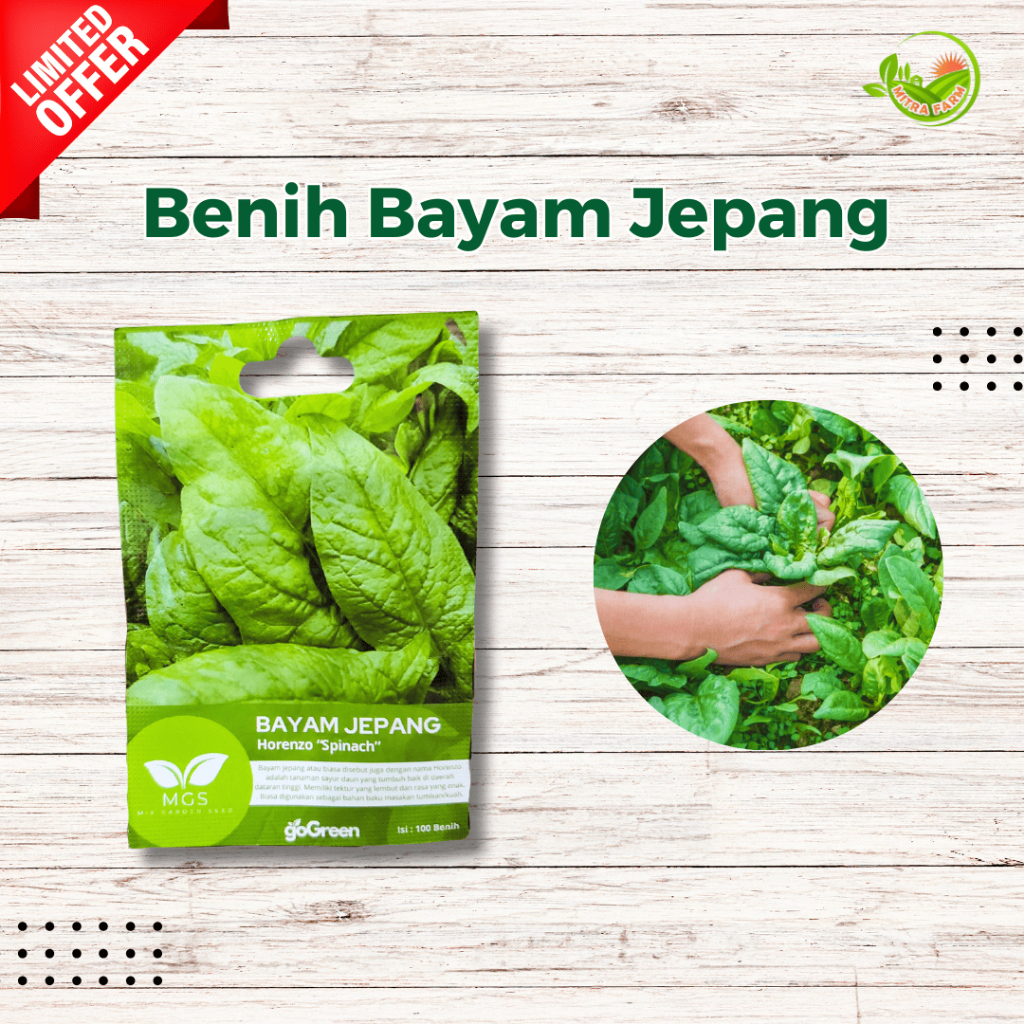 Jual Benih Bayam Jepang Horenso-Benih Japanese Spinach Horenzo-Bayam ...