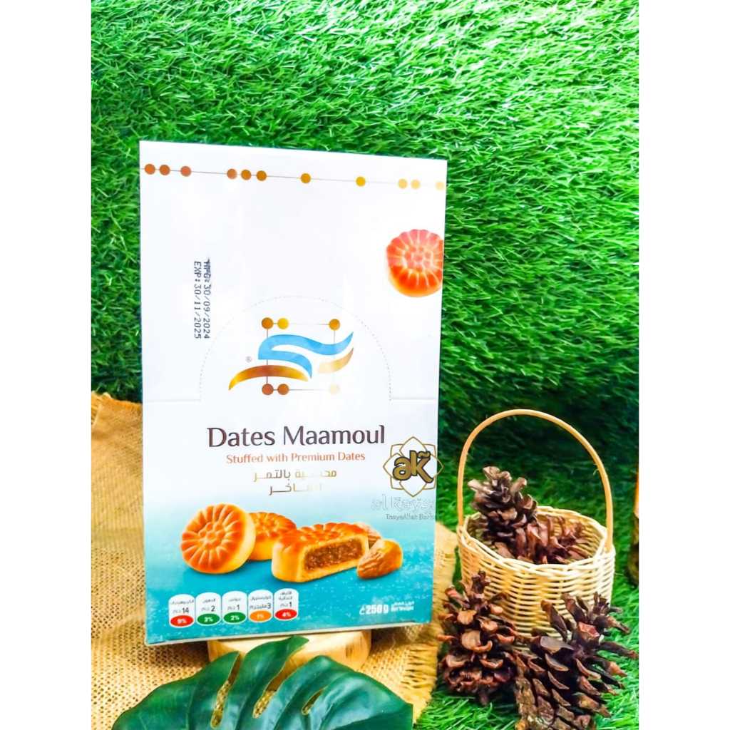 Jual BISKUIT MAAMOUL /PIE MAMOUL MAAMOUL DATES BENTTE PIE KURMA 1 box ...
