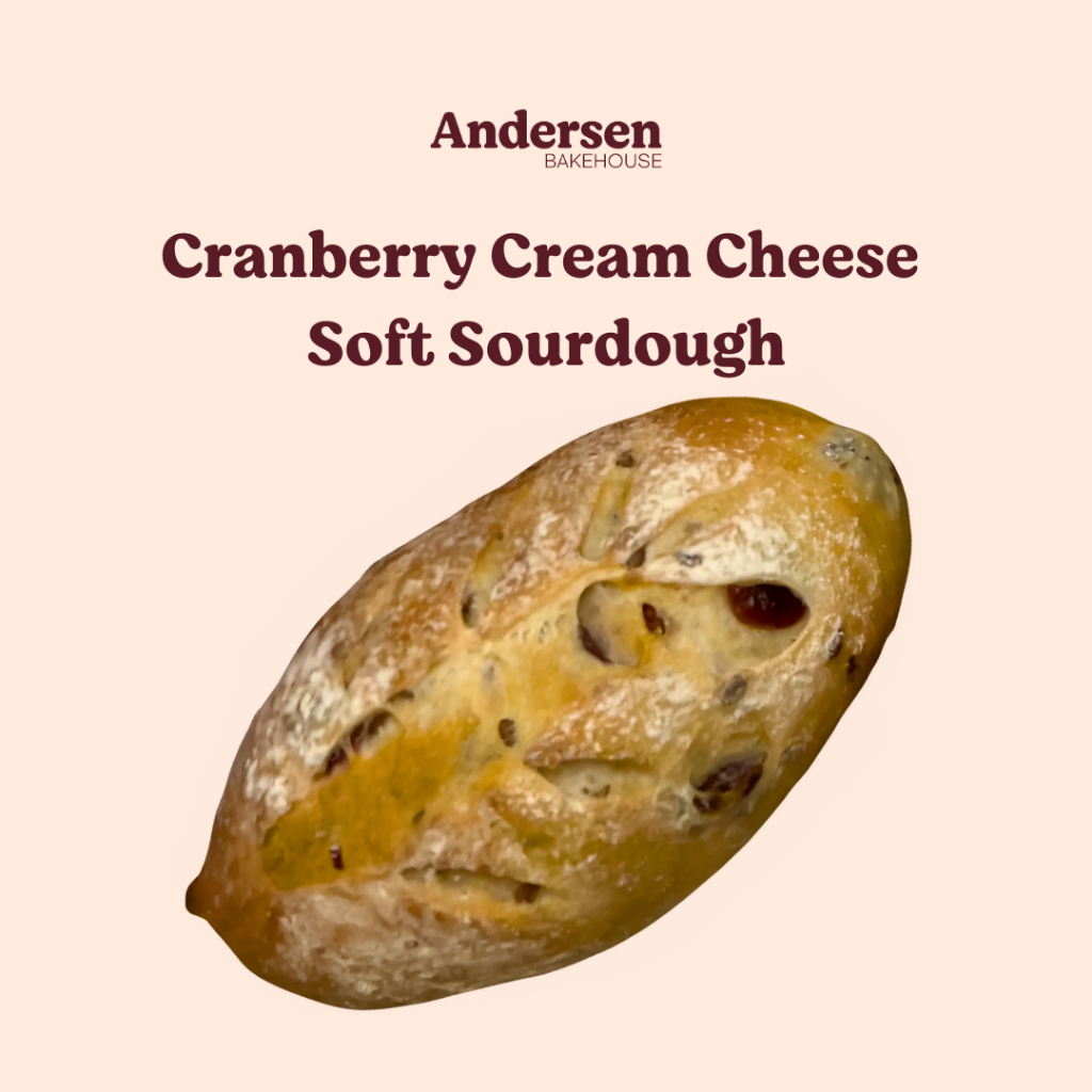 Jual Andersen Bakehouse 4pcs Cranberry Cream Cheese Soft Sourdough ...