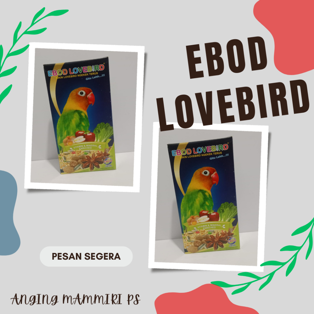Jual EBOD LOVEBIRD Dus - Makanan Burung Love Bird Harian Kemasan Kotak ...