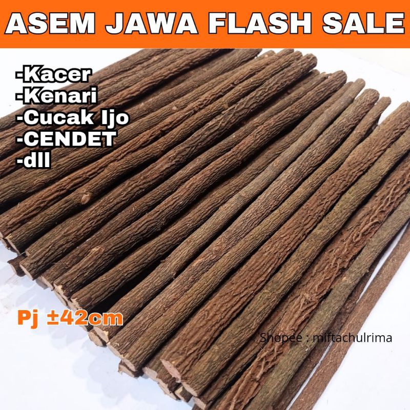 Jual FLASH SALE TANGKRINGAN ASEM JAWA ( KAYU TETEHAN) | Shopee Indonesia