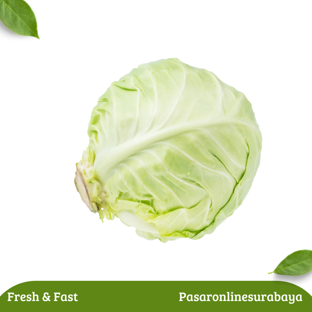 Jual Kol Putih Pcs Gubis Gobis Segar 500 gr 1 kg | Shopee Indonesia