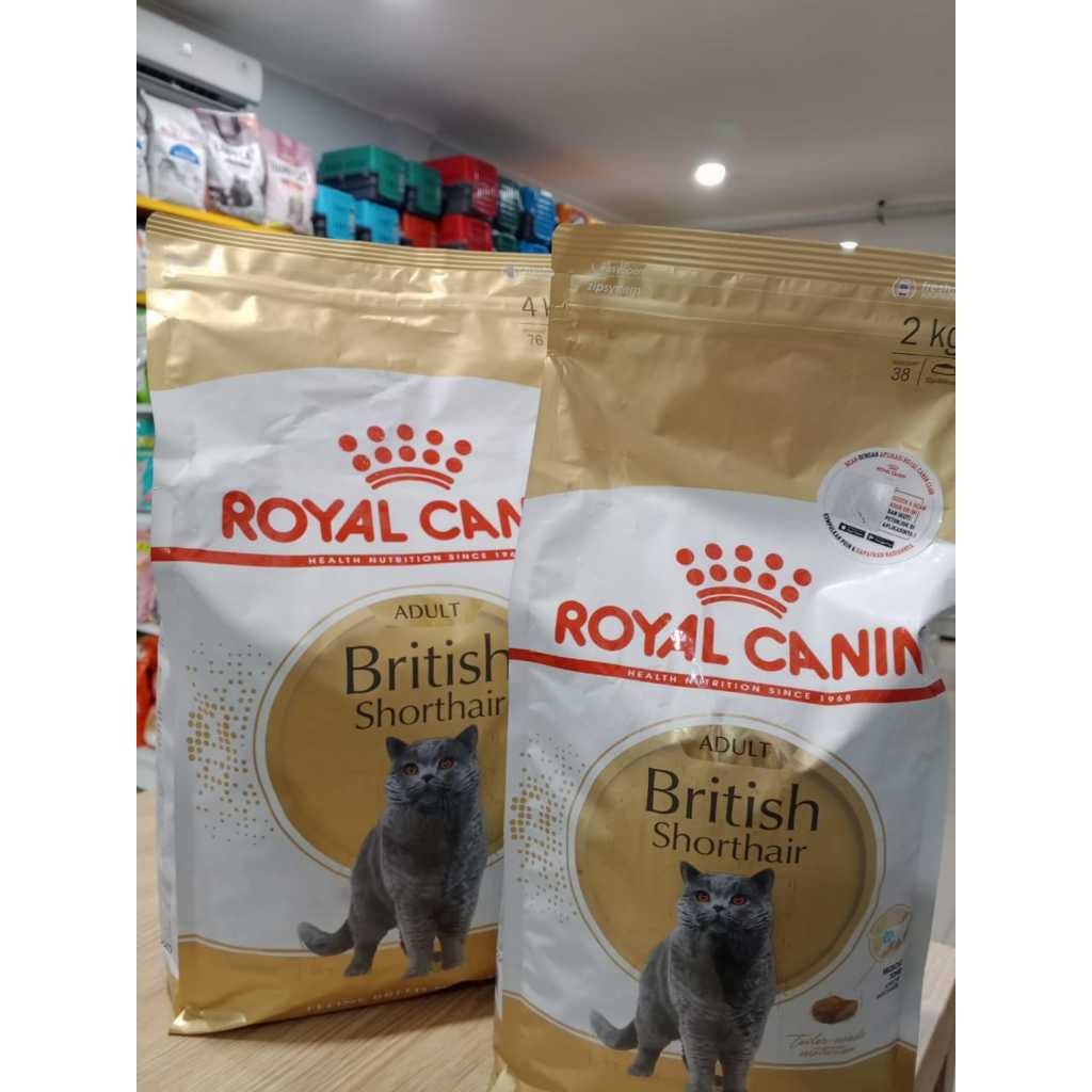 Jual Royal Canin British Shorthair Adult 2kg /4kg - RC BSH ADULT - Rc British Adult 4kg/2kg ...