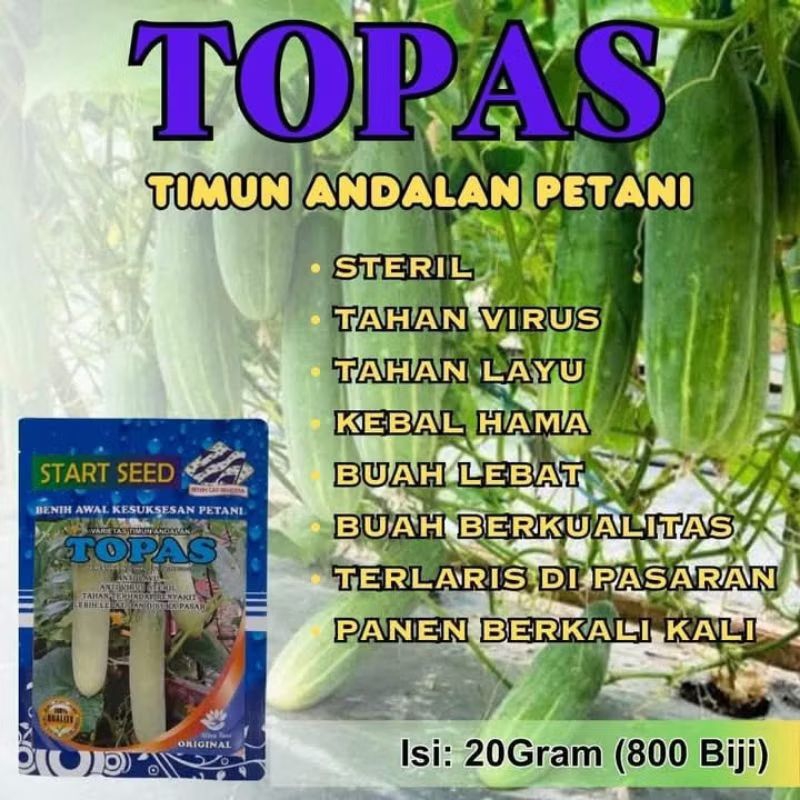 Jual TOPAS Timun Andalan Petani Biji 20 gram (800 biji) | Shopee Indonesia