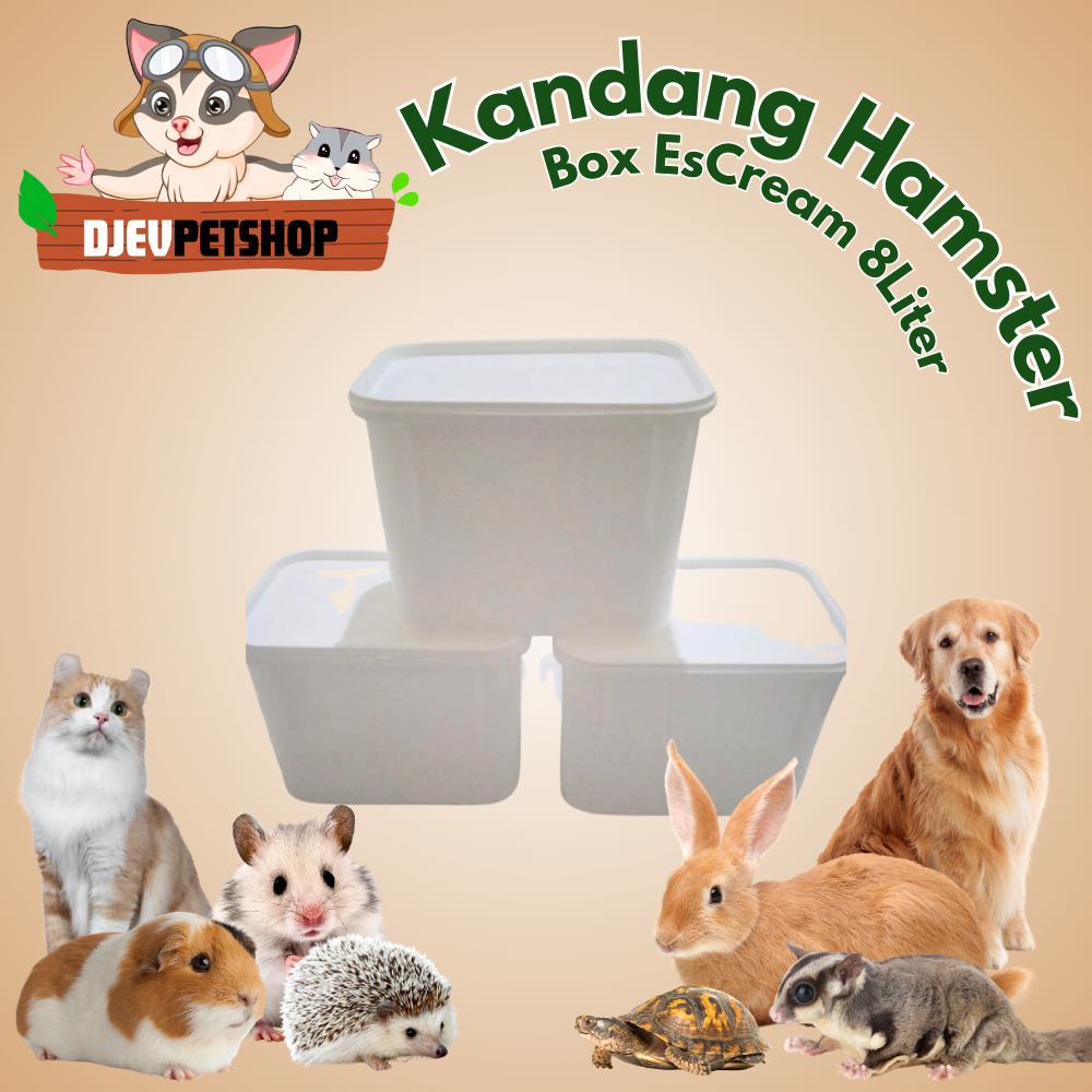 Jual DJEVPETSHOP Kandang Hamster Kotak Serbaguna Rumah Hewan Mini ...