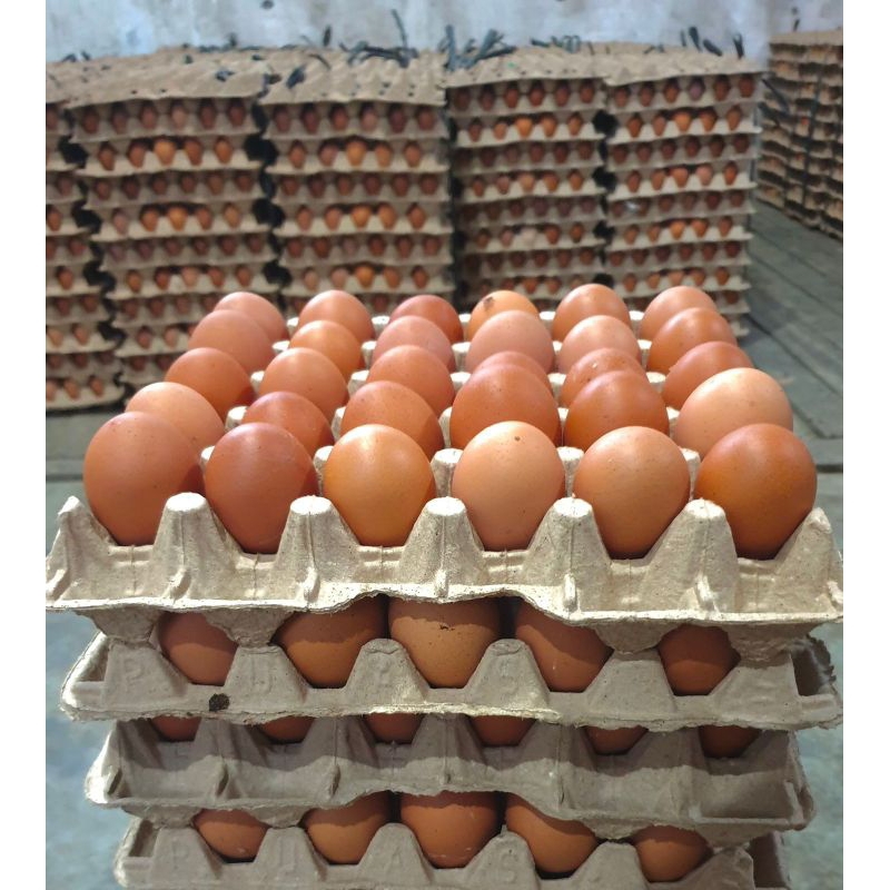 Jual TELUR AYAM FRESH BESAR mix JUMBO Grade A berat 2,1 kg-2,2 kg (30 ...