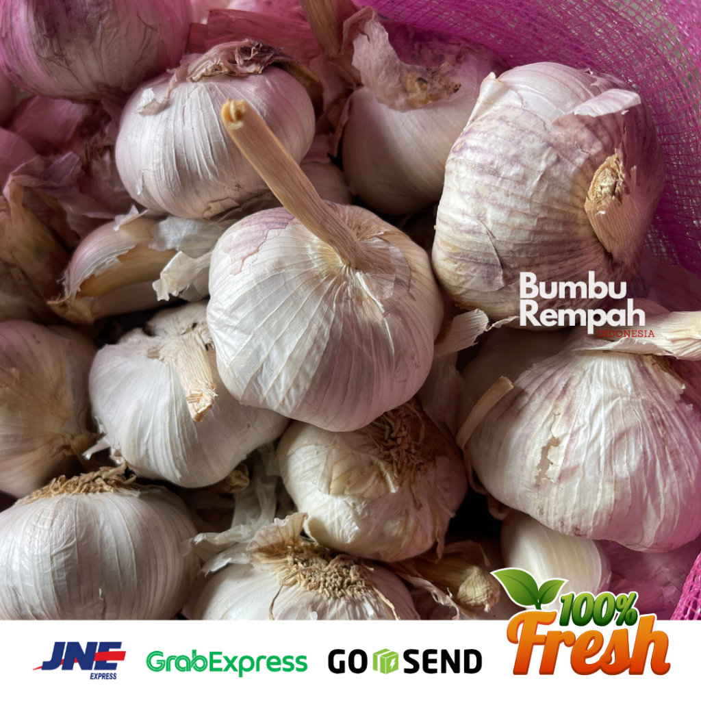 Jual Bawang Putih Honan Honam Banci Utuh 1 Kg Super Fresh / Kualitas ...