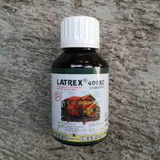 Jual OBAT RAYAP PALING AMPUH LATREX 400 EC 100ML ANTI RAYAP KAYU TANAH ...