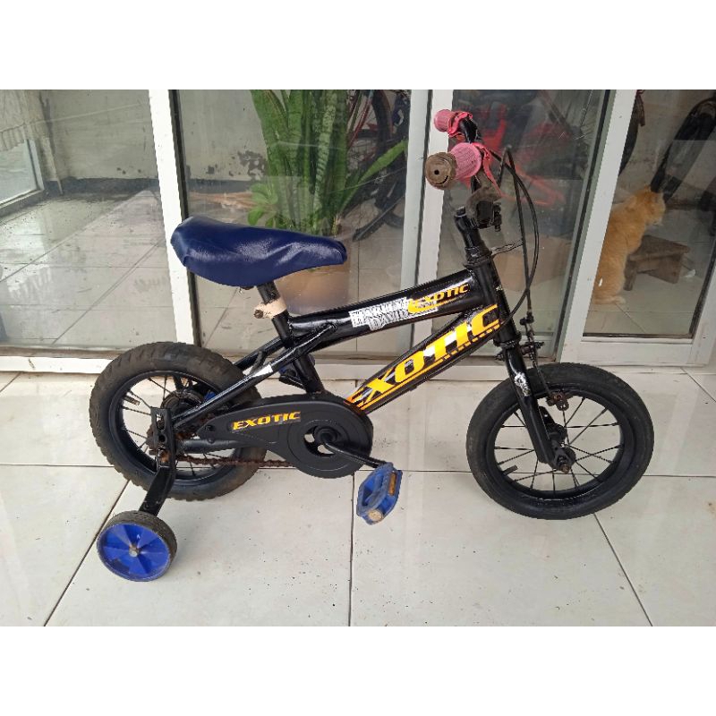 Jual Sepeda anak kecil ukuran 12 inch | Shopee Indonesia