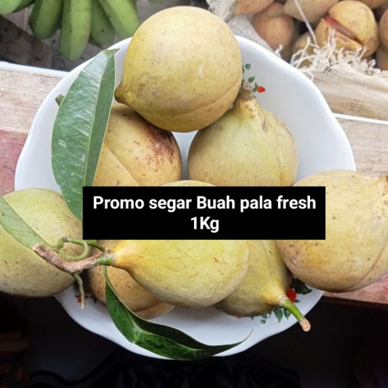 Jual Promo buah pala segar fresh 1kg | Shopee Indonesia