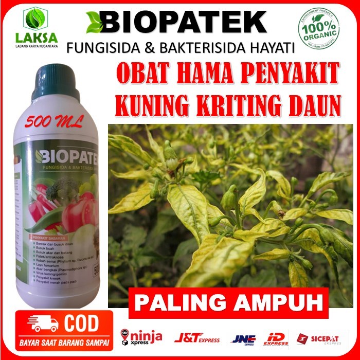 Jual obat semprot atasi kuning kriting daun cabe, timun, tomat, kacang ...
