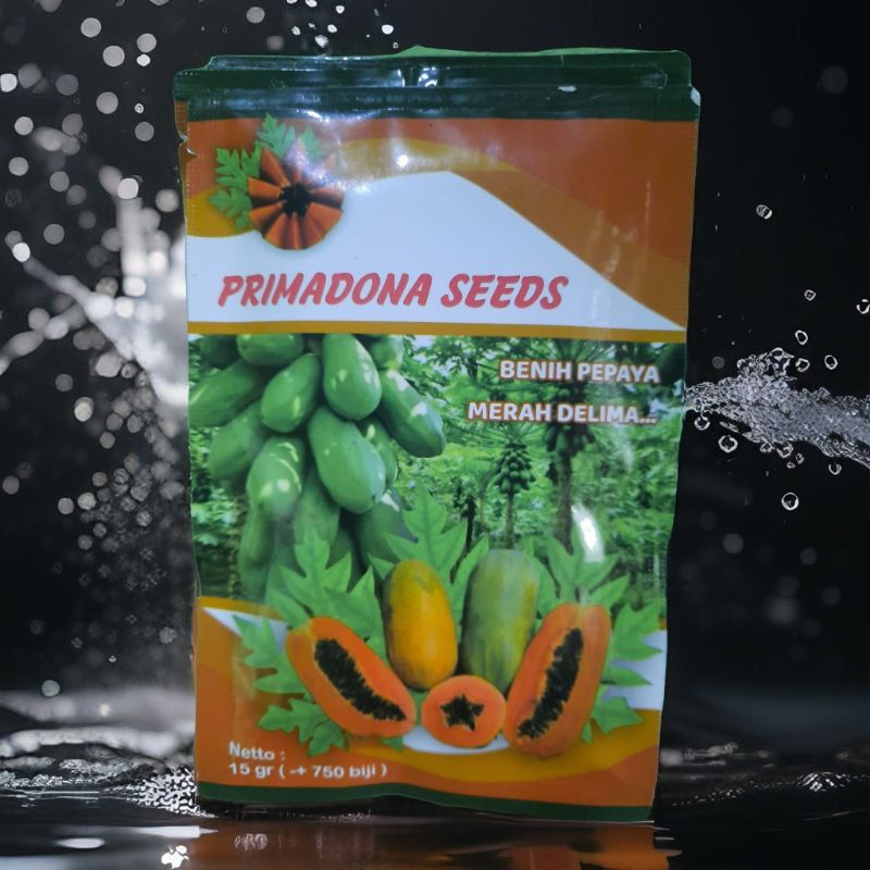 Jual BENIH PEPAYA MERAH DELIMA 15 GRAM | Shopee Indonesia