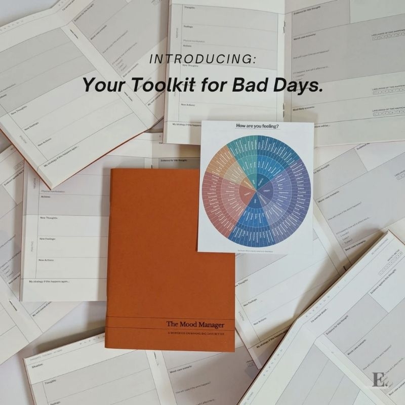 Jual The Mood Manager | Mood Journal by Envision Planner | A Workbook ...